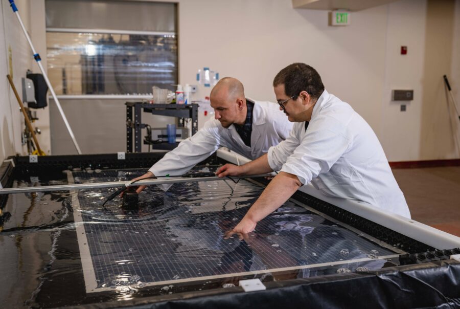 PVEL PV Module Reliability Scorecard